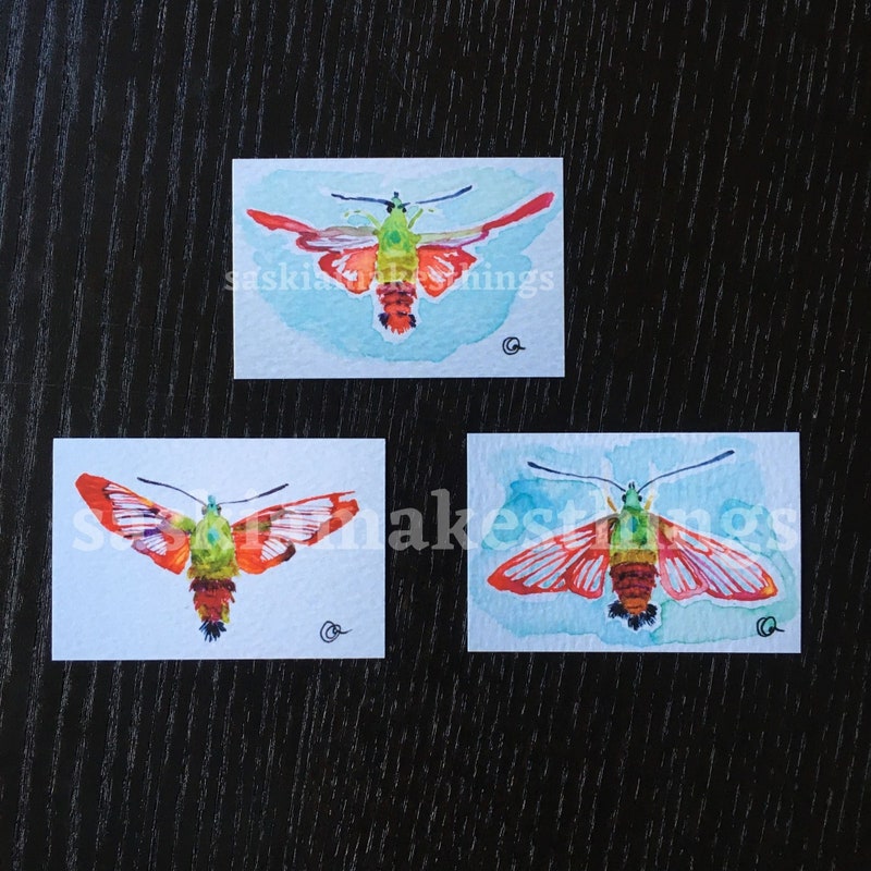 Hummingbird Moth - Etsy