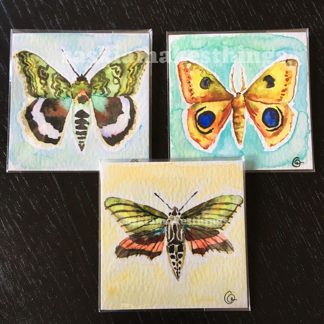 Blue Underwing, Sphinx Moth, Io Moth - Mini 3 X 3 Inch Limited Edition ...