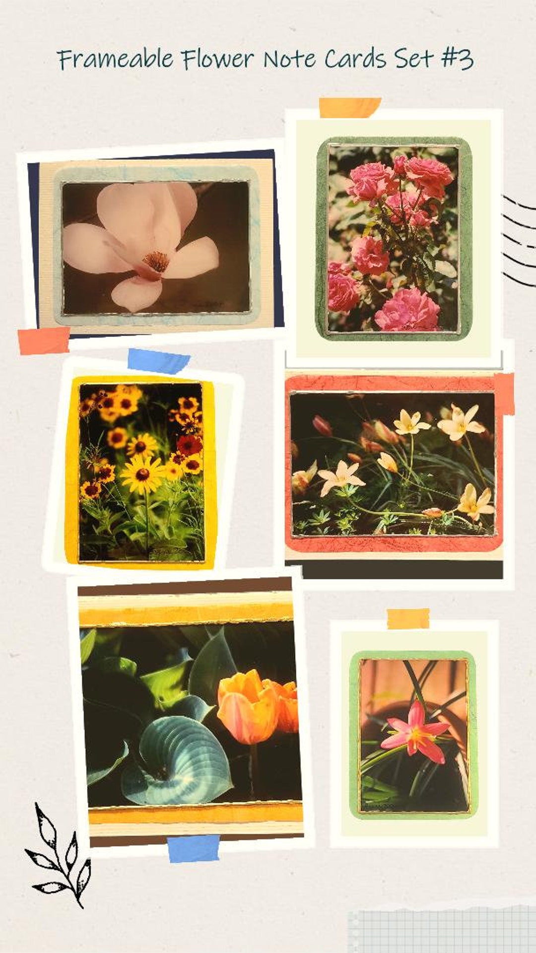 Flower Photo Note Cards: Frameable Art Cards, Set of 6 - Etsy