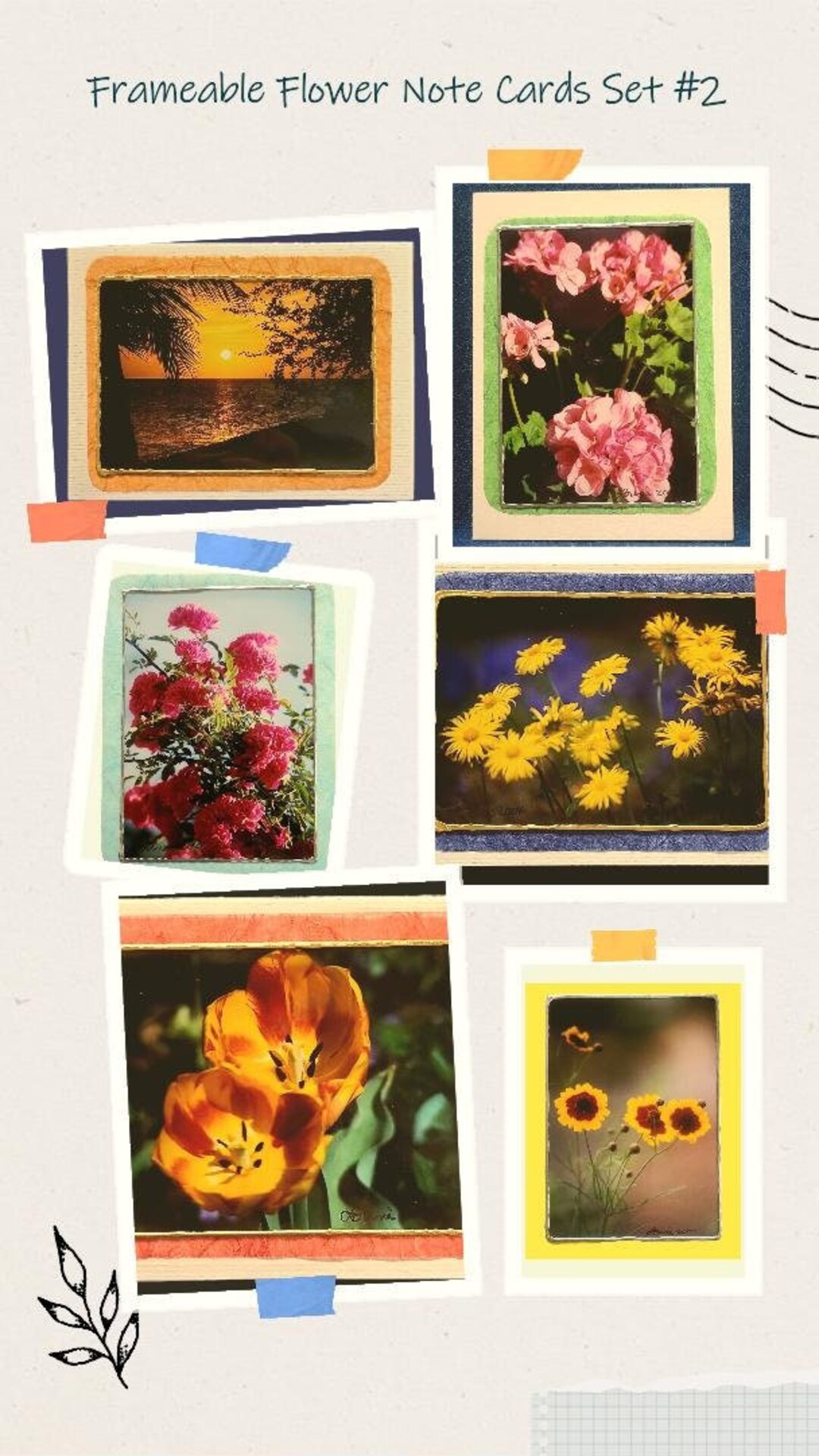 Flower Photo Note Cards: Frameable Art Cards With Envelopes - Set #2 - Etsy