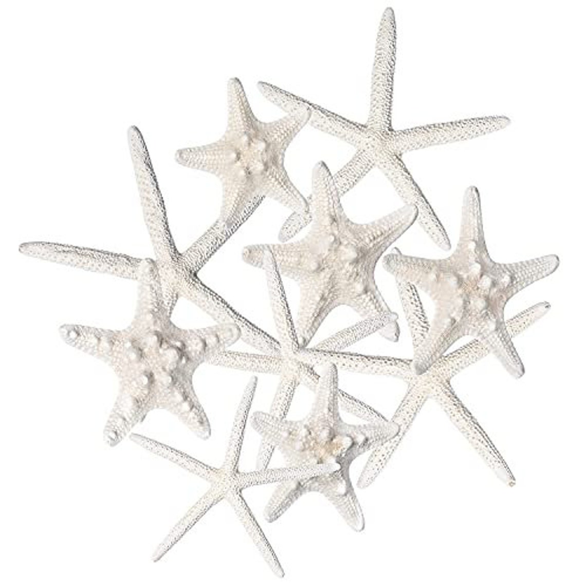 Starfish Decor 10 Pack Assorted Star Fish 2 to 6in Starfish for Crafts ...