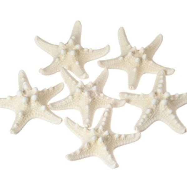Starfish Wall Decor - Etsy