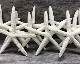 1 to 5 Pieces 6 7 8 9 10 11 XXL XL Extra Large Finger Starfish 6 to 9 7 ...