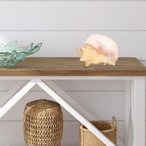 Conch Shell Large Sea Shells Garden Quality 5 to 6 Inch Conch Sea Shell ...