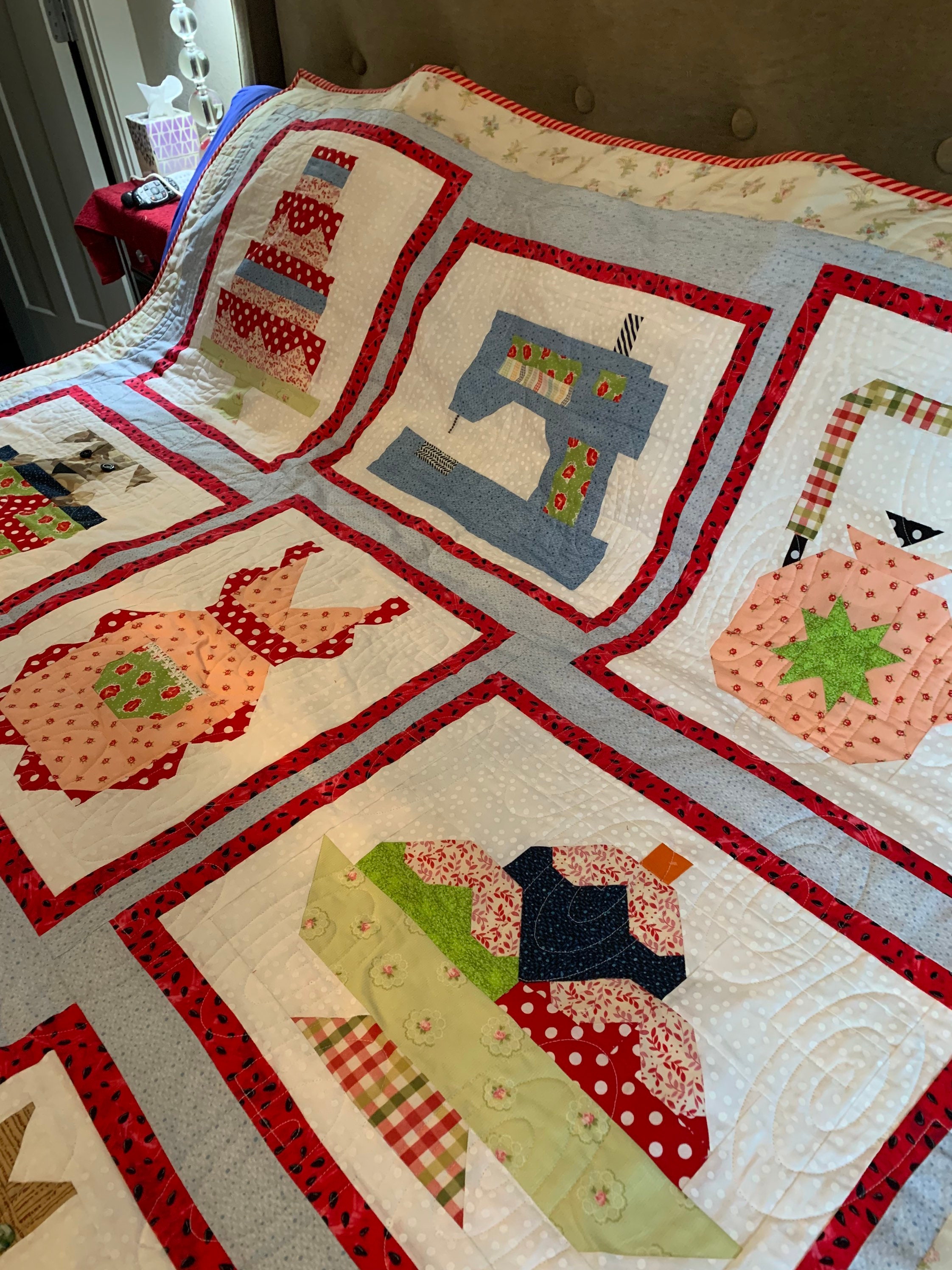Handmade Snap Shots Quilt Along Quilt, Twin Size Picture Quilt 65x87 ...