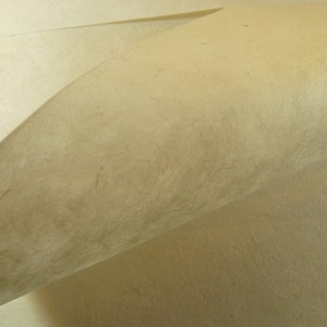 Papermaker's Favorite Daphne Handmade Writing and Printing Paper 50 ...