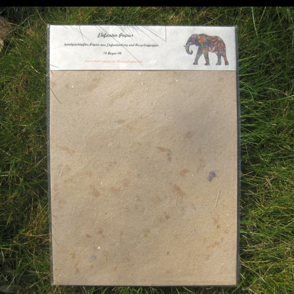 Papermaker's Favorite Daphne Handmade Writing and Printing Paper 50 ...