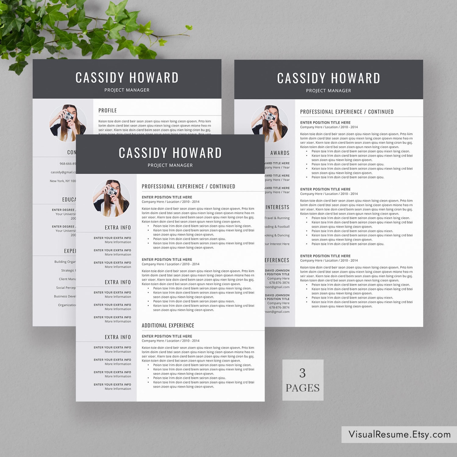 Top rated resume templates 2020 - silverstat