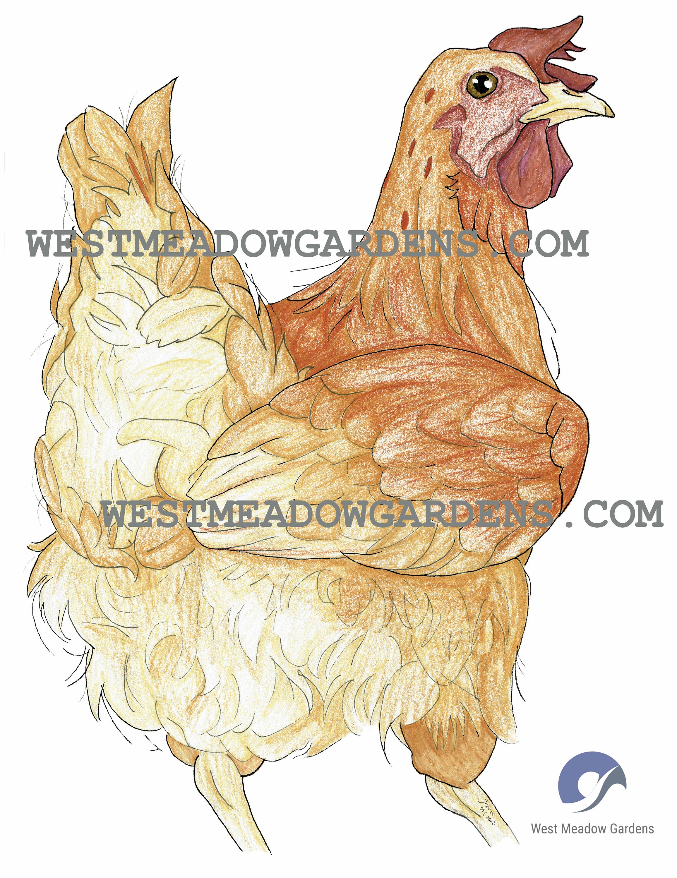 Digital Download Chicken Mixed Media Papers Collage Pages Journal ...