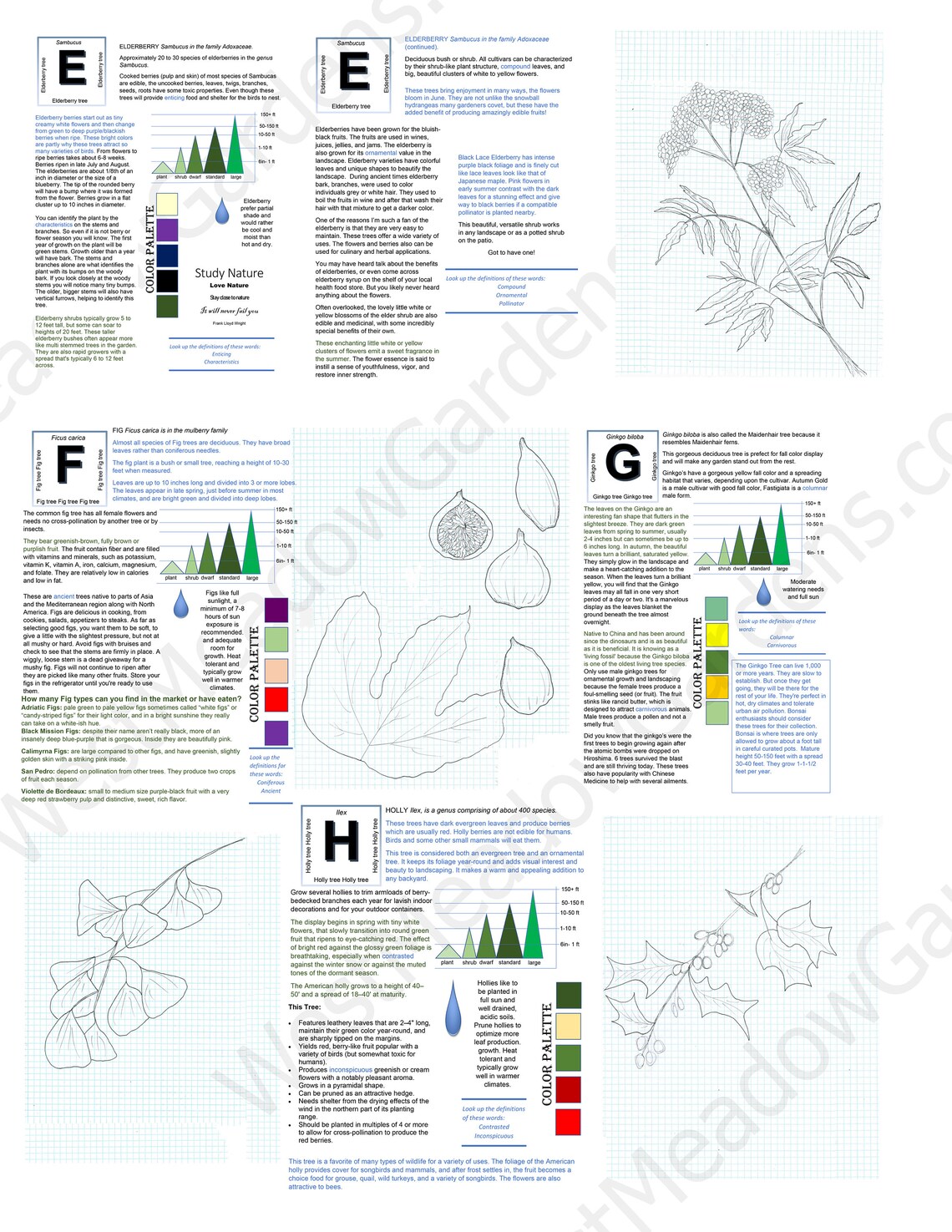 Field Journal A-Z Trees and Shrubs - Etsy