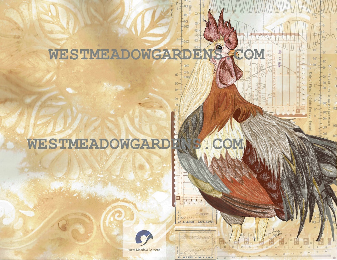 Digital Download Chicken Mixed Media Papers Collage Pages Journal ...