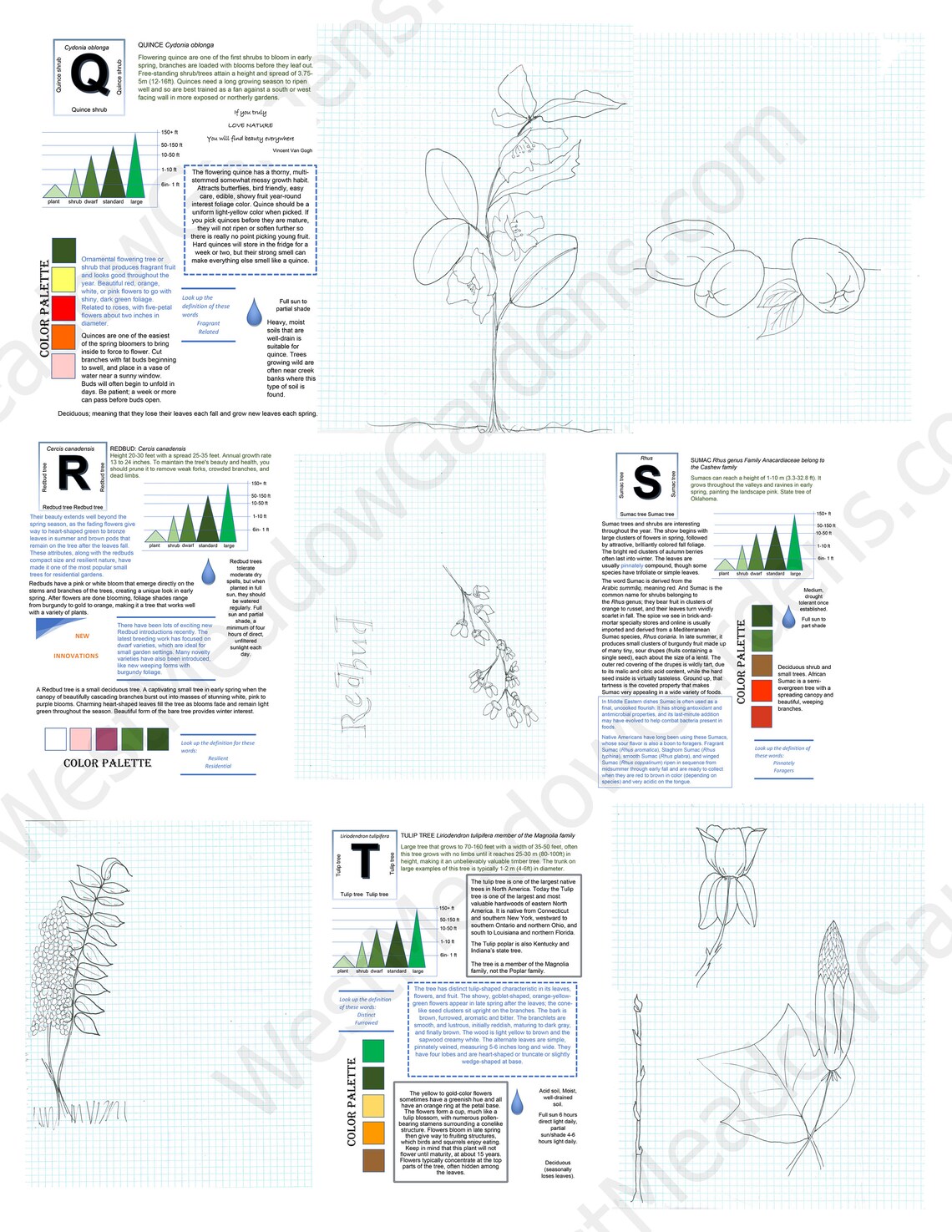 Field Journal A-Z Trees and Shrubs - Etsy