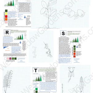Field Journal A-Z Trees and Shrubs - Etsy