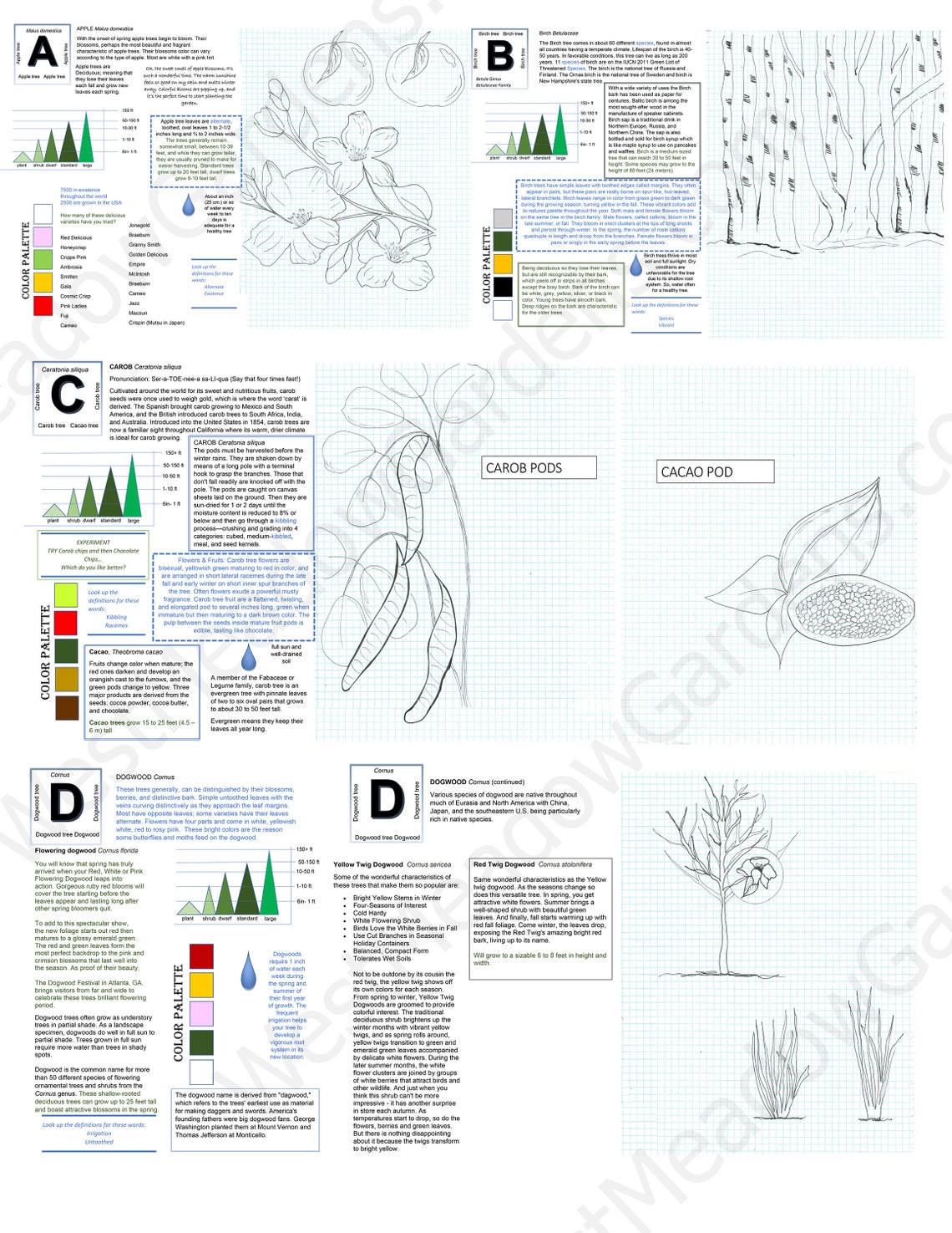 Field Journal A-Z Trees and Shrubs - Etsy