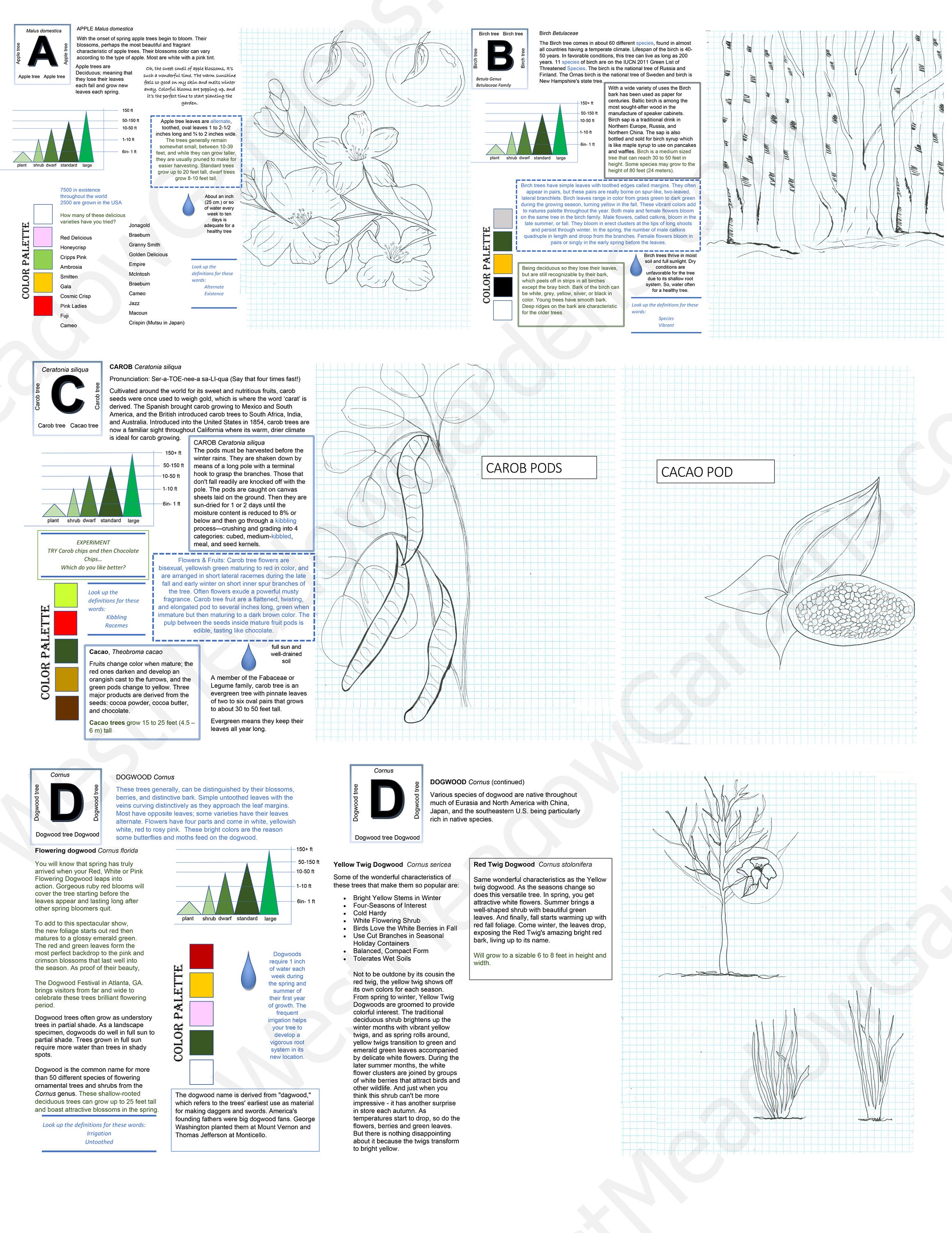 Field Journal A-Z Trees and Shrubs - Etsy