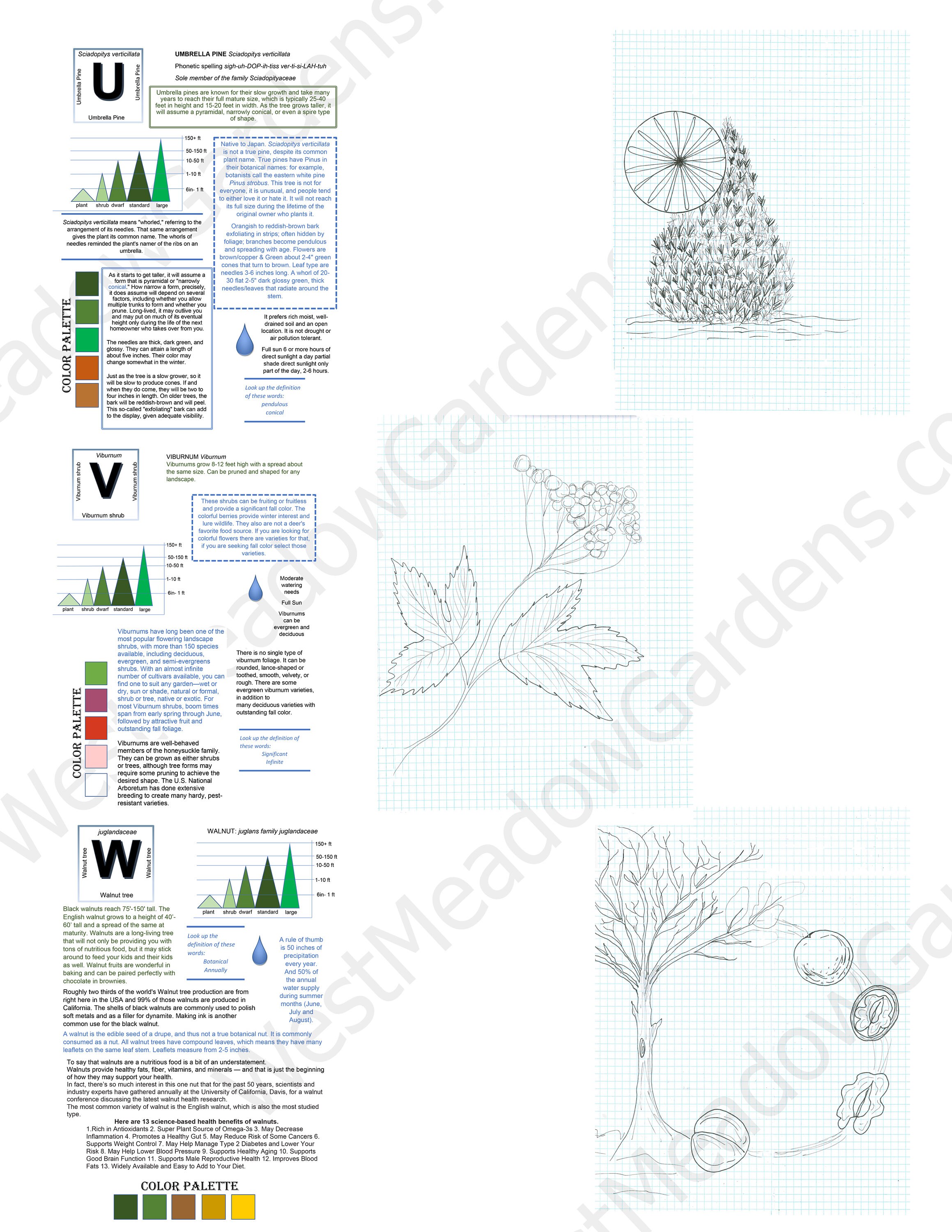 Field Journal A-Z Trees and Shrubs - Etsy