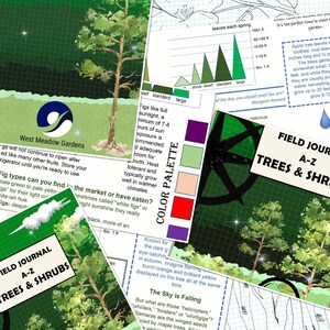 Field Journal A-Z Trees and Shrubs - Etsy