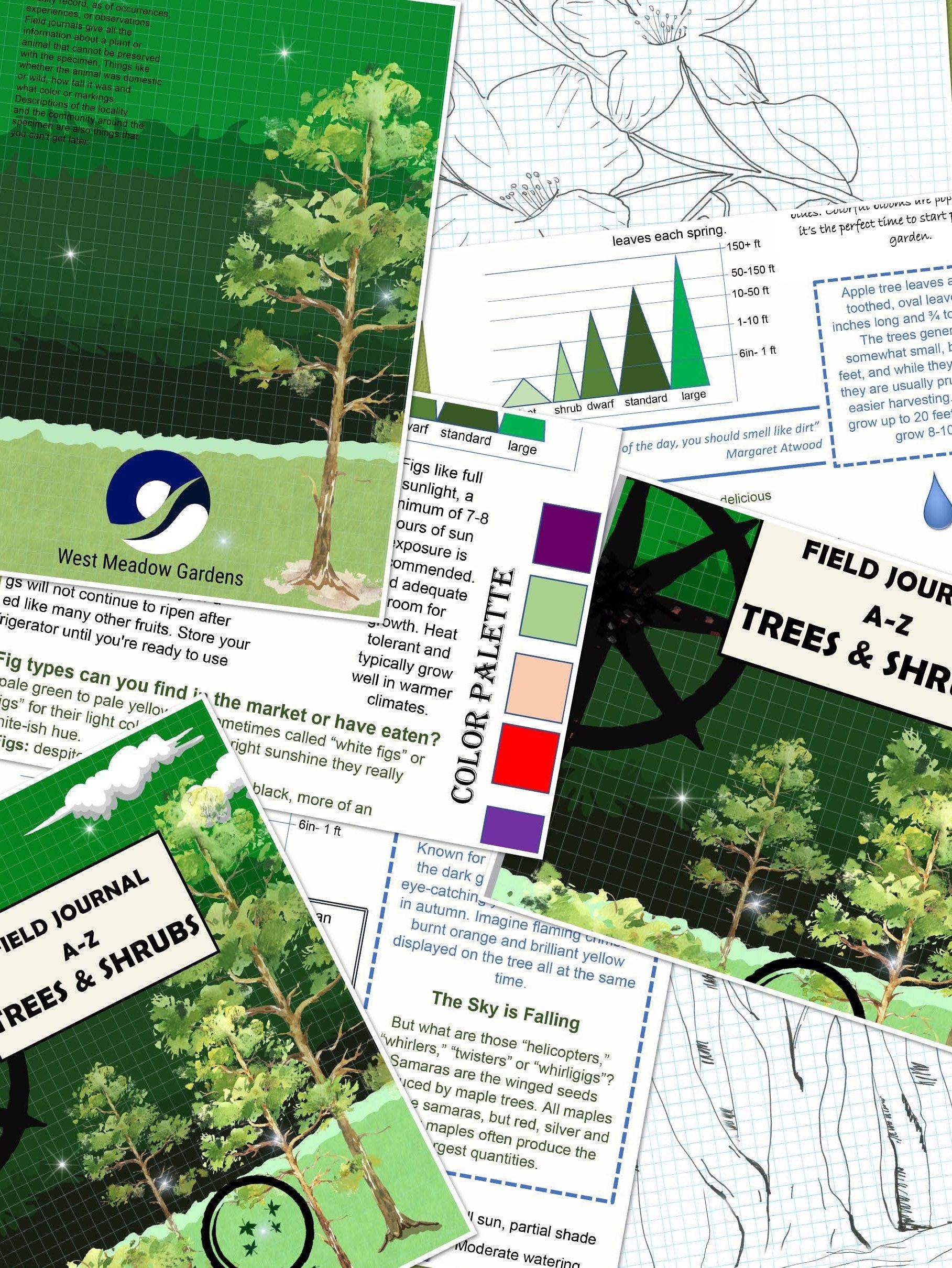 Field Journal A-Z Trees and Shrubs - Etsy