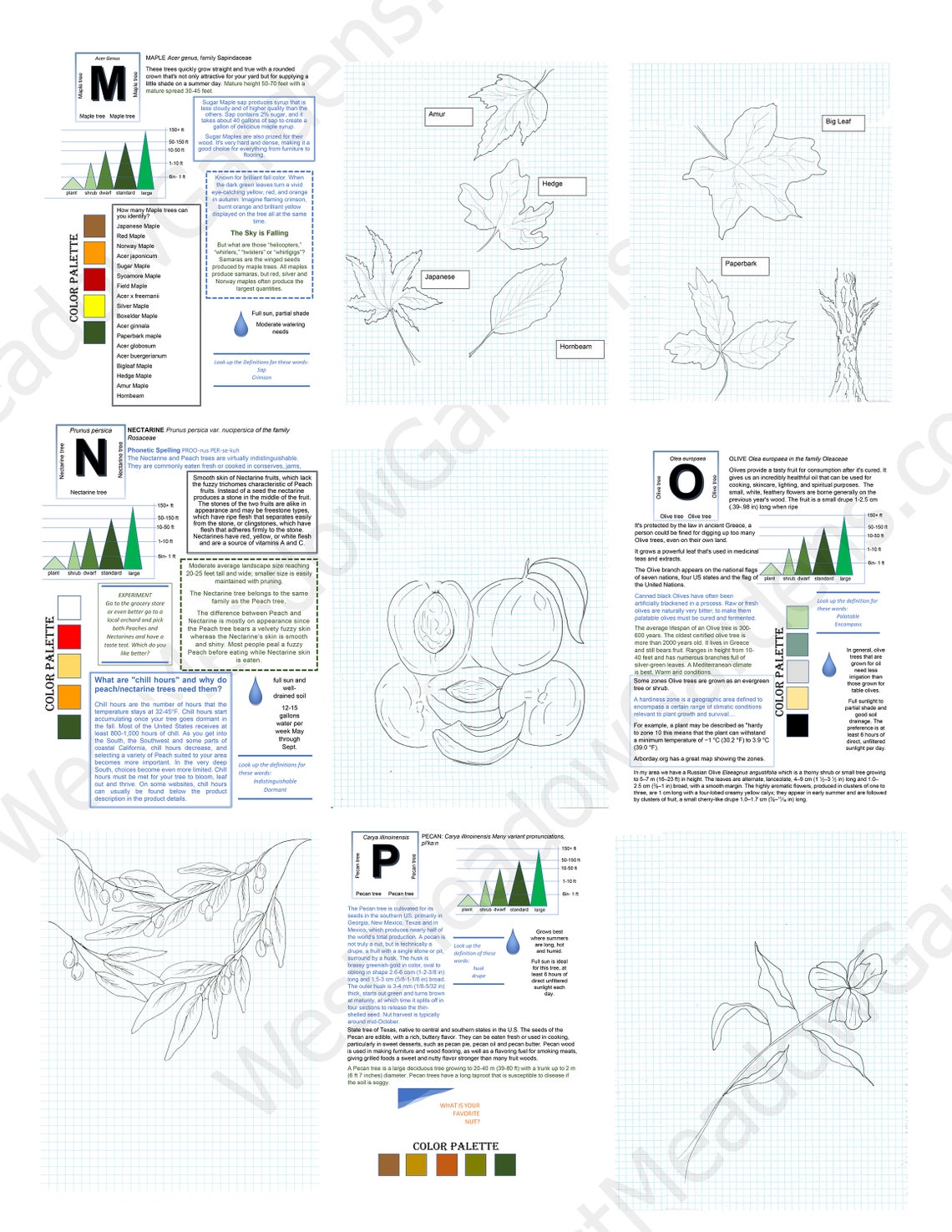 Field Journal A-Z Trees and Shrubs - Etsy
