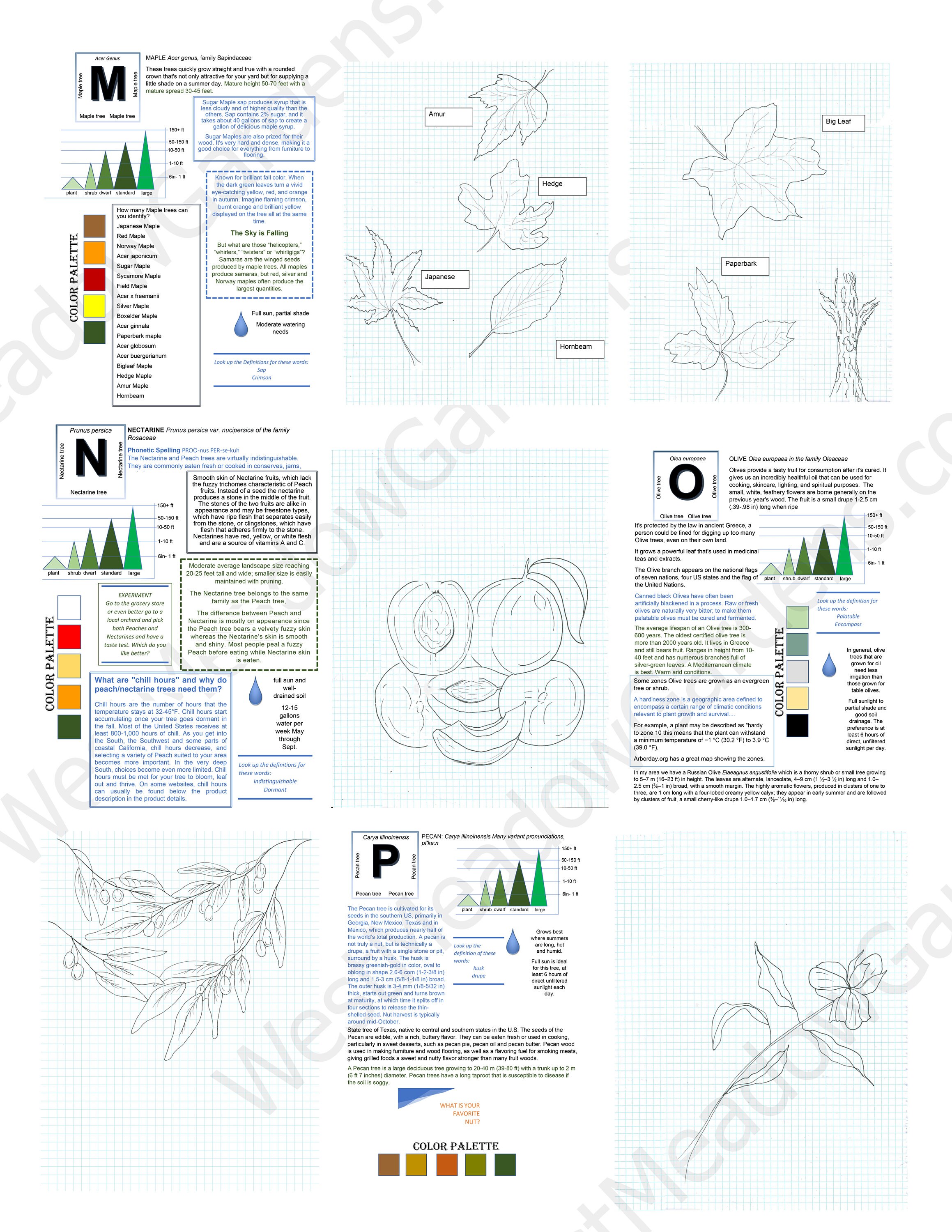 Field Journal A-Z Trees and Shrubs - Etsy