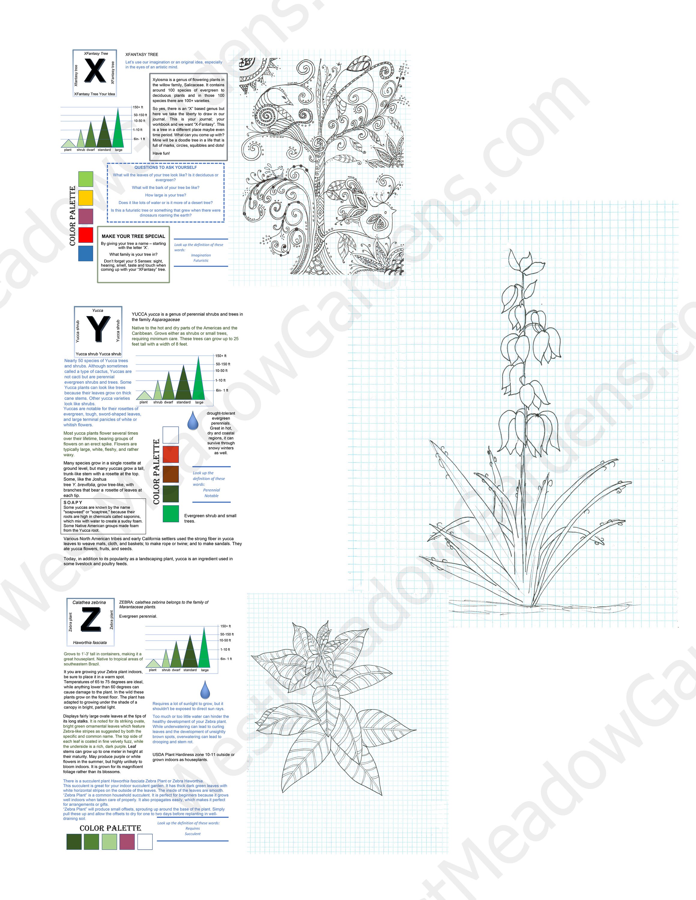 Field Journal A-Z Trees and Shrubs - Etsy