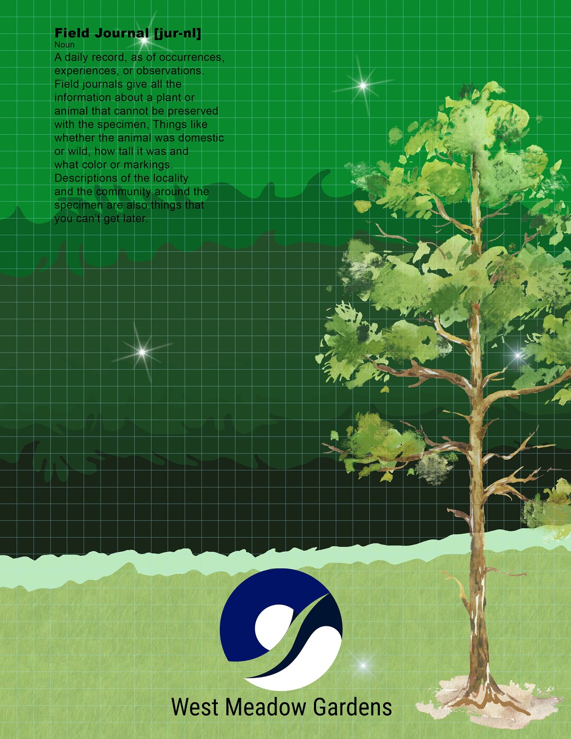 Field Journal A-Z Trees and Shrubs - Etsy