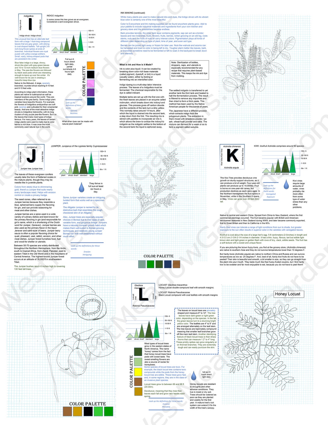 Field Journal A-Z Trees and Shrubs - Etsy