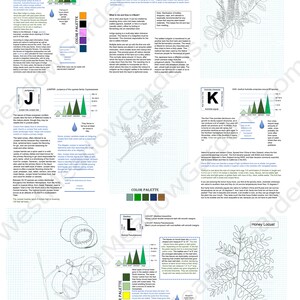 Field Journal A-Z Trees and Shrubs - Etsy