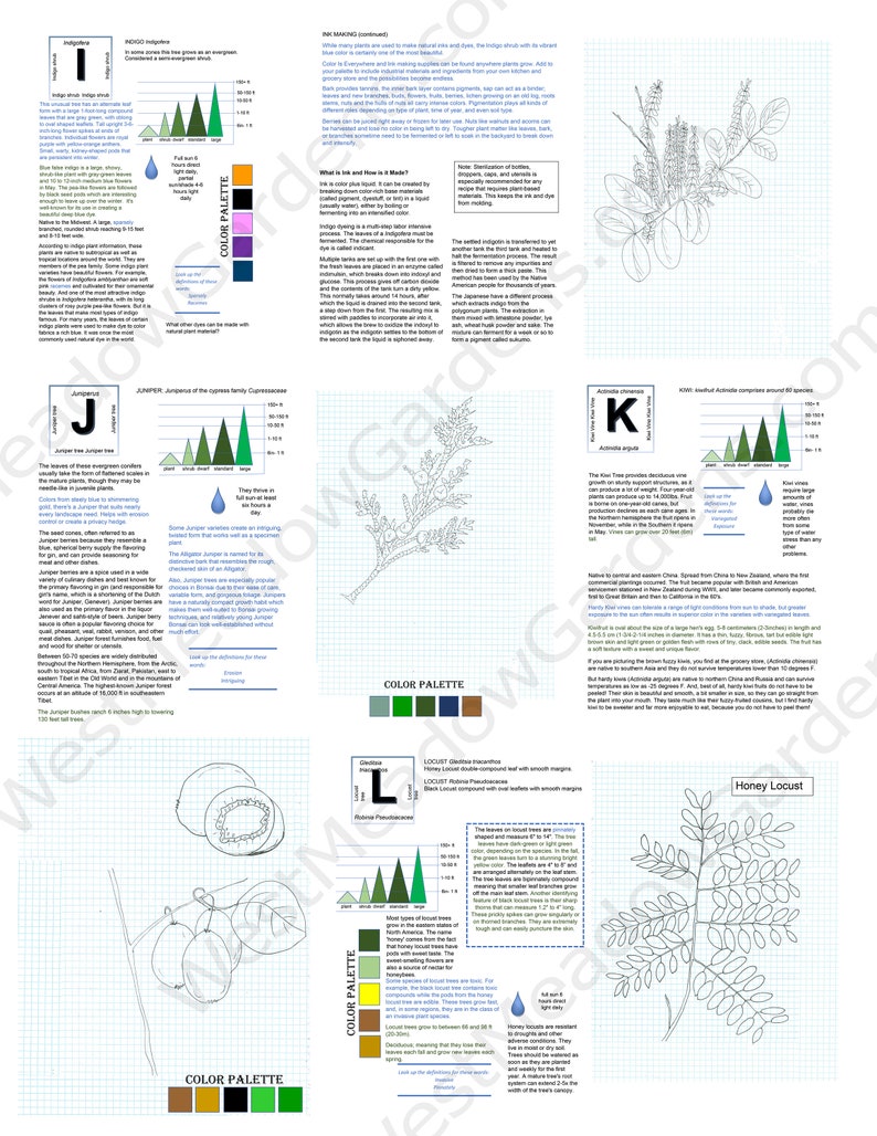 Field Journal A-Z Trees and Shrubs - Etsy