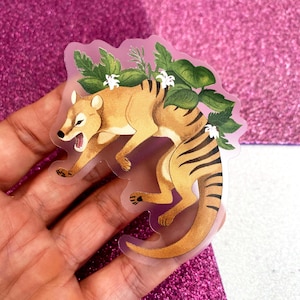 Tilacino, lobo tigre de Tasmania, animal extinto, marsupial, historia ...