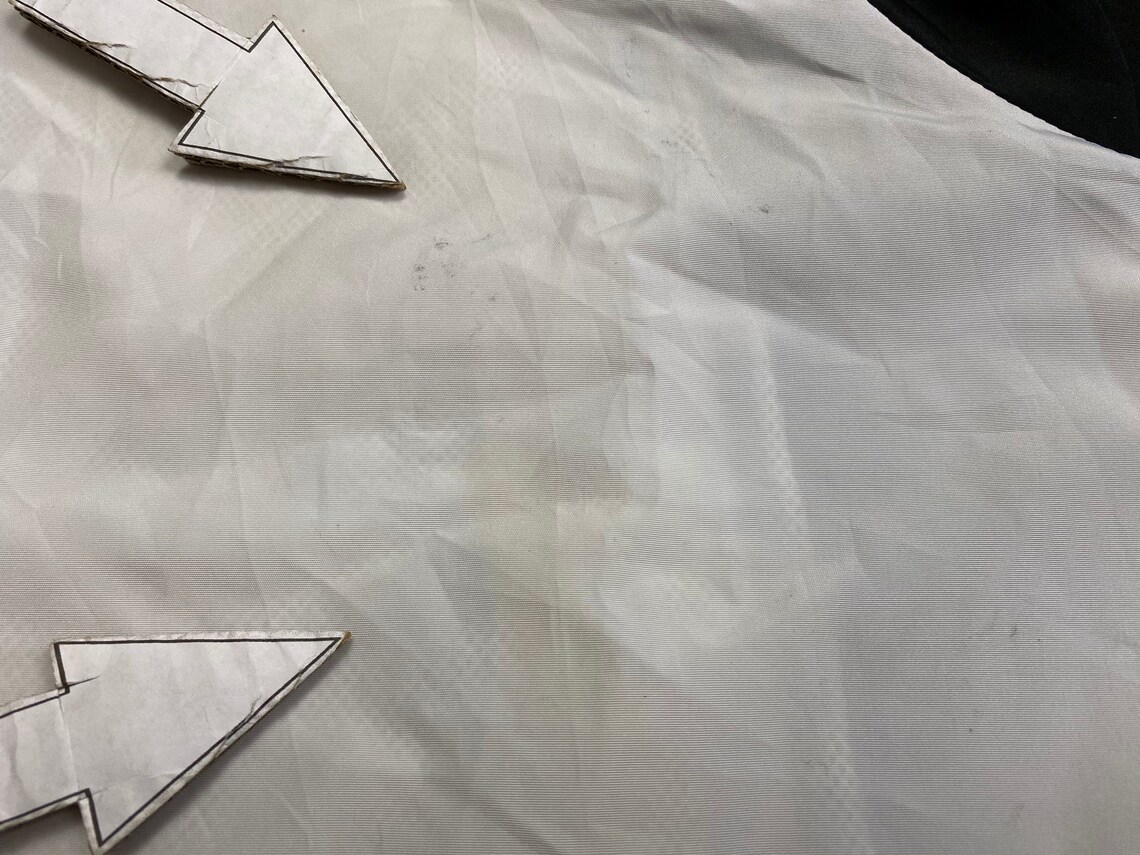 CBSJ Sport Coyote Cartoon Full-zip Windbreaker Jacket Fits - Etsy