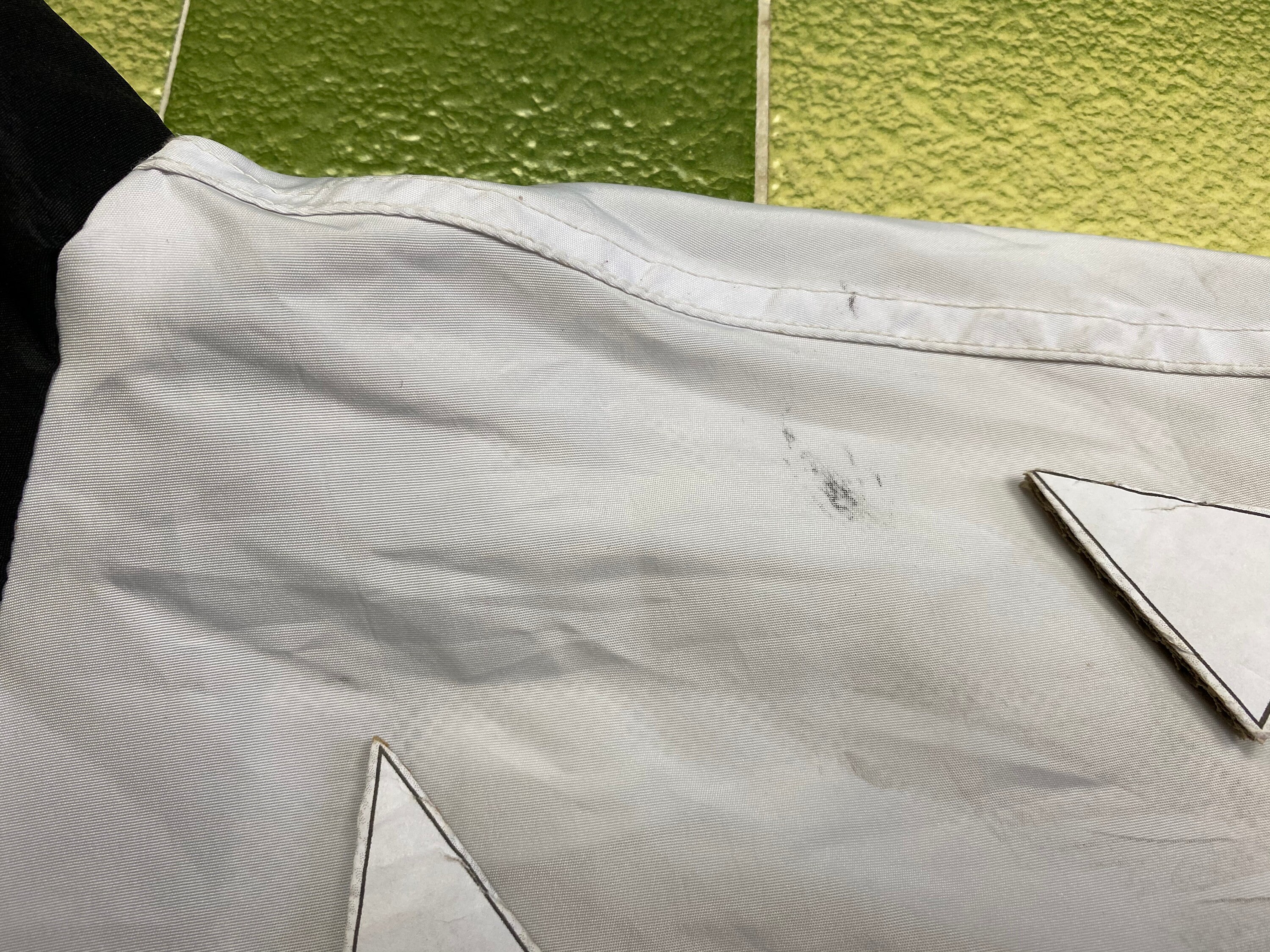 CBSJ Sport Coyote Cartoon Full-zip Windbreaker Jacket Fits - Etsy