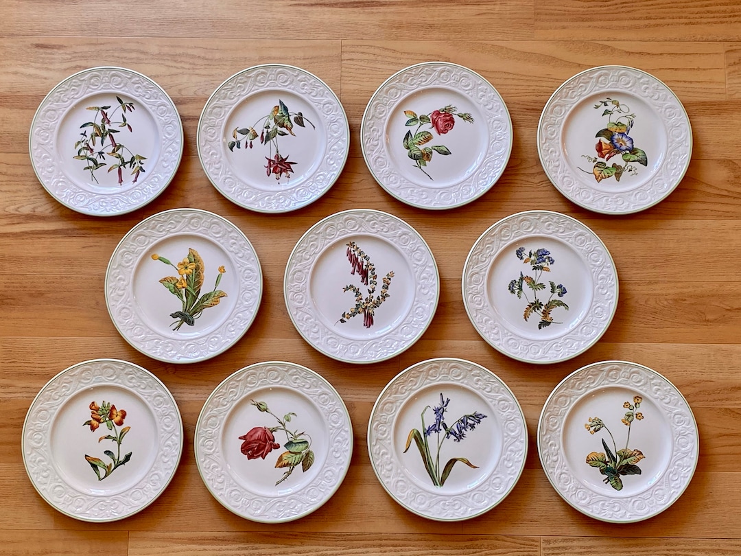 Copeland Spode England Botanical Plates 9 3/8" Set of 11 - Etsy