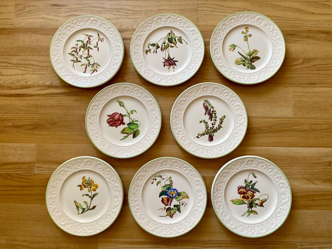 Copeland Spode England Botanical Plates 9 3/8" Set of 8 - Etsy