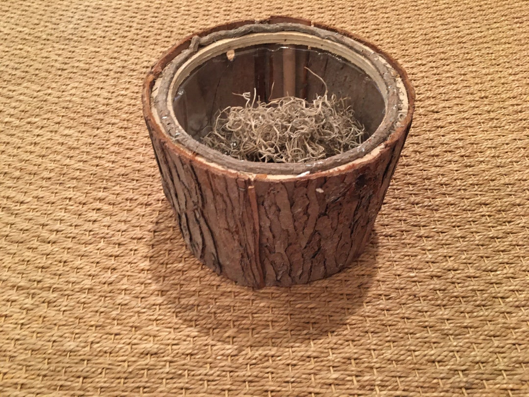 Natural Bark Planter - Etsy