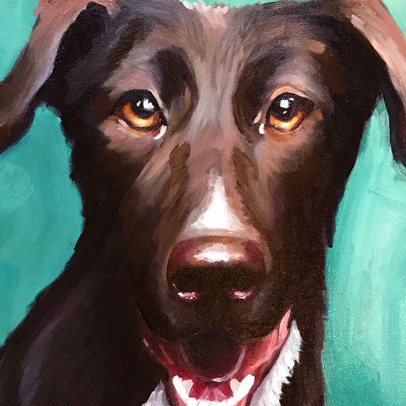 Chocolate Lab German Shepherd Mix