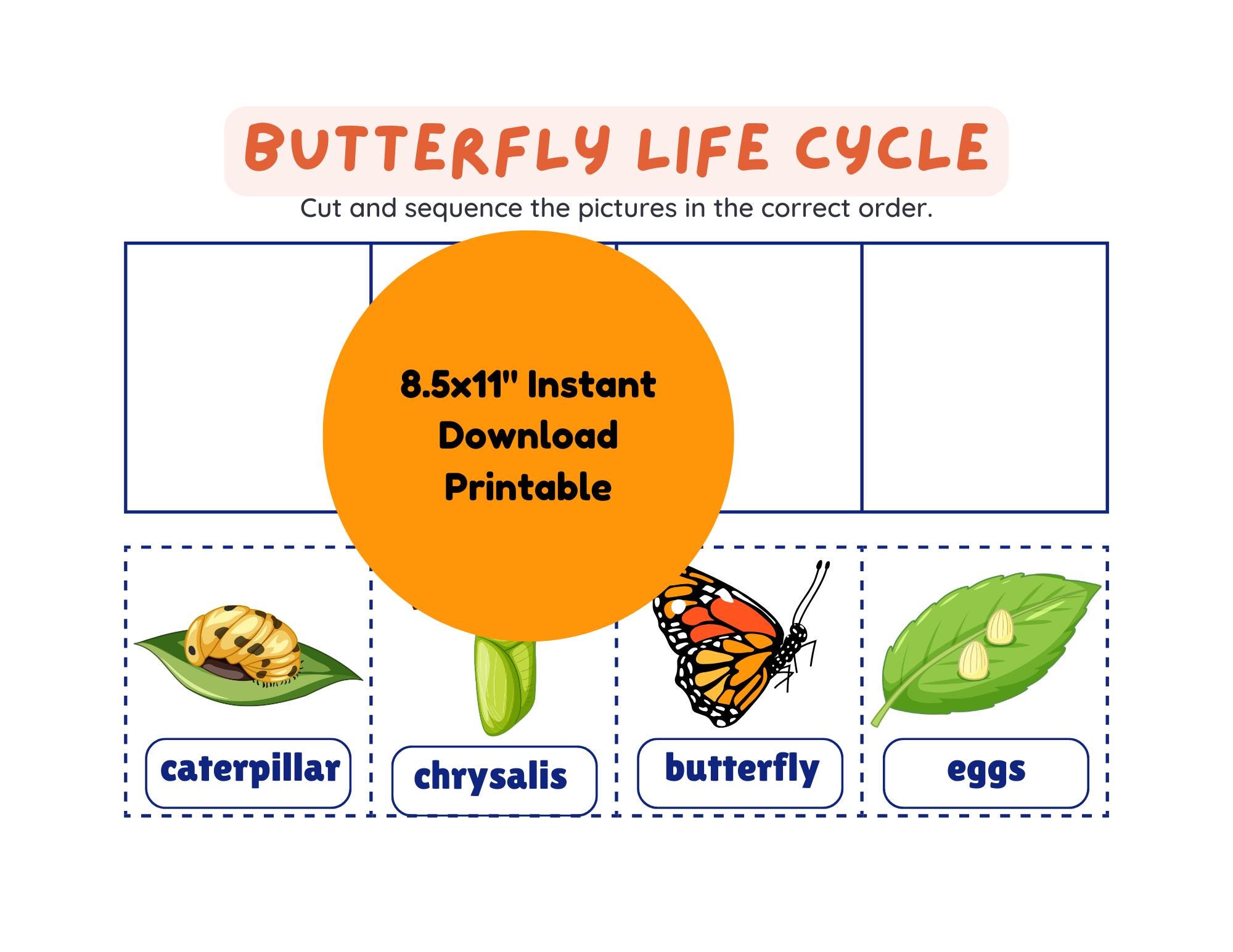 Monarch Butterfly Life Cycle Worksheet – Kids Garden Printable, STEM ...