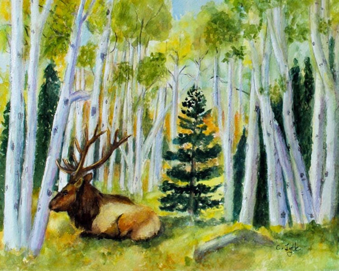 Bull Elk,watercolor,aspen Trees,canvas Prints,prints,notecards,magnets ...