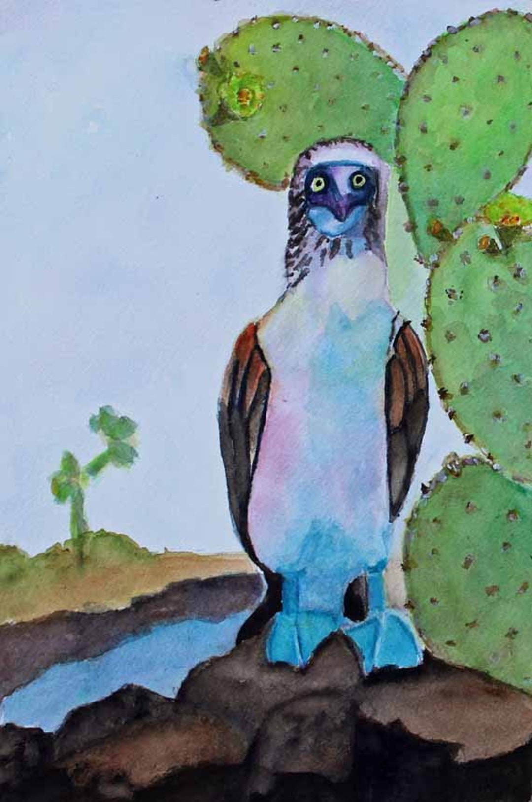 Blue Footed Booby,watercolor,galapagos,canvas Print,prints, Notecards ...