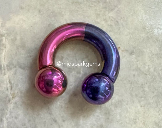 Half DARK PURPLE / SILVER (4G, 5G, 6G, 7G, 8G, 10G, or 12G) Anodized ...
