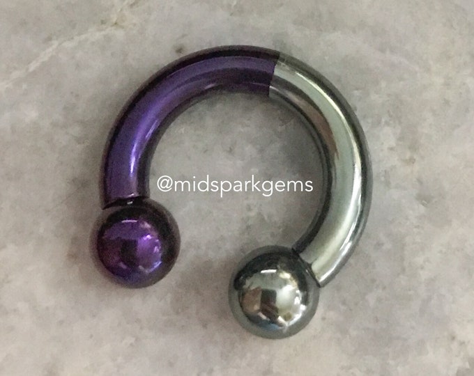 Half DARK PURPLE / SILVER (4G, 5G, 6G, 7G, 8G, 10G, or 12G) Anodized ...