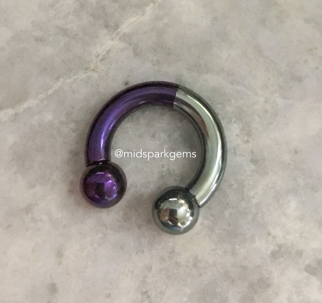 Half DARK PURPLE / SILVER (4G, 5G, 6G, 7G, 8G, 10G, or 12G) Anodized Astm F136 Titanium Bigger ...