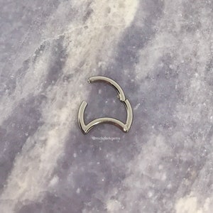 Choose From 20 Colors - Crescent Moon Hinged Segment Ring Titanium ...