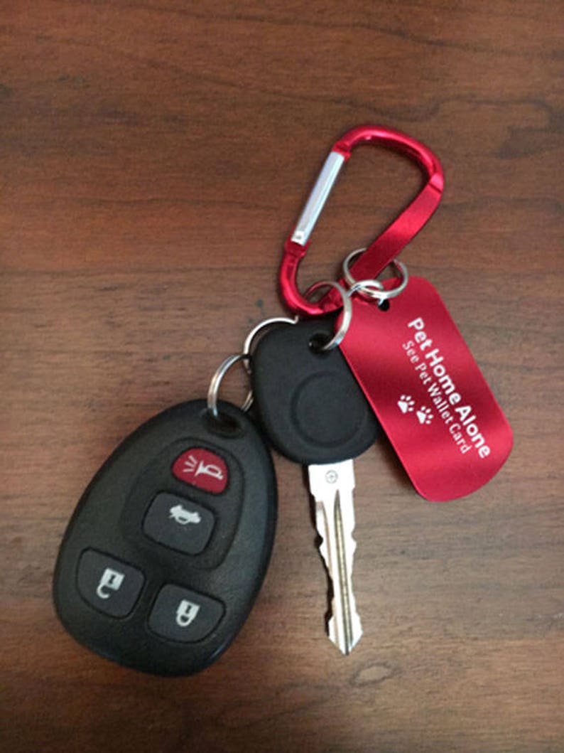 Pet Home Alone ID Tag/keychain With Carabiner, Pet Emergency Card and ...