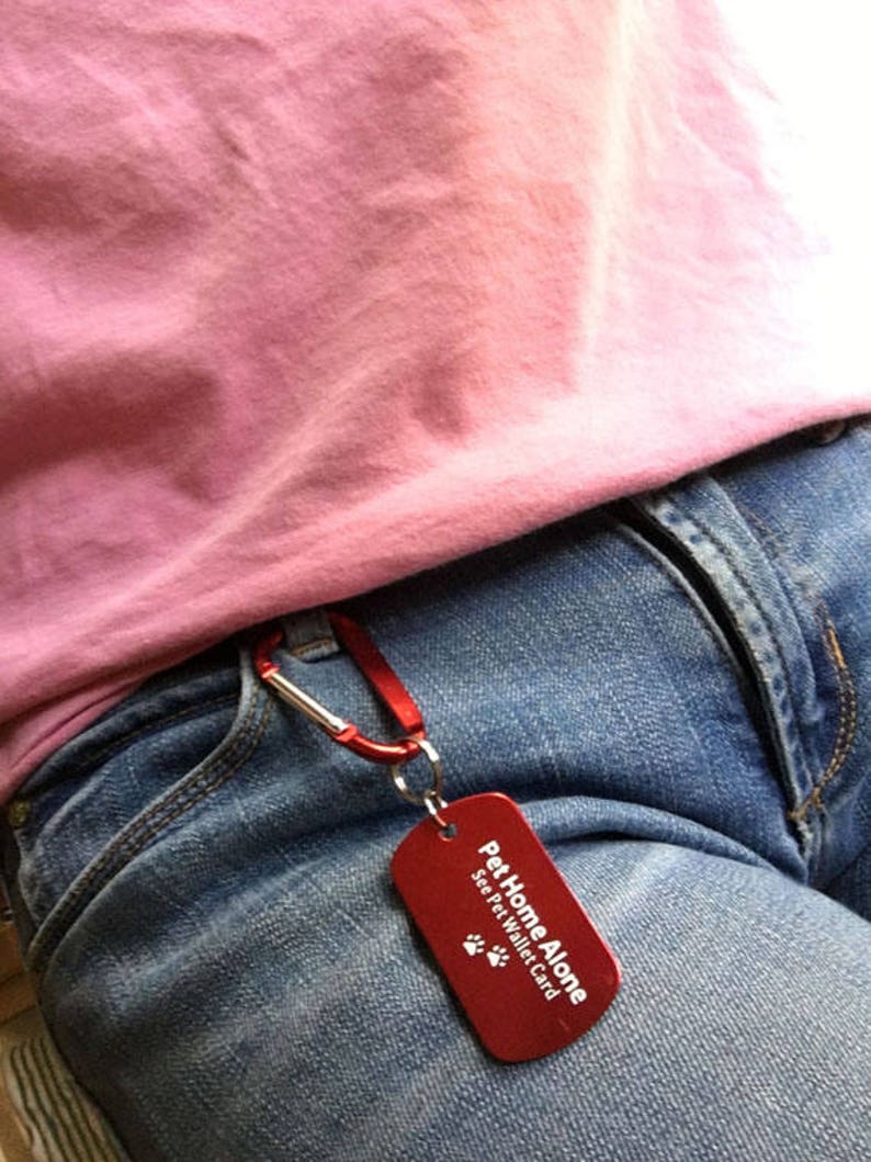 Pet Dog ID Tag and Tick Remover Key With Emergency Wallet Card - Etsy UK