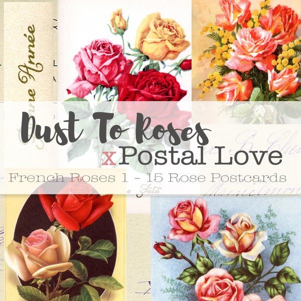 Roses Postcards - Etsy