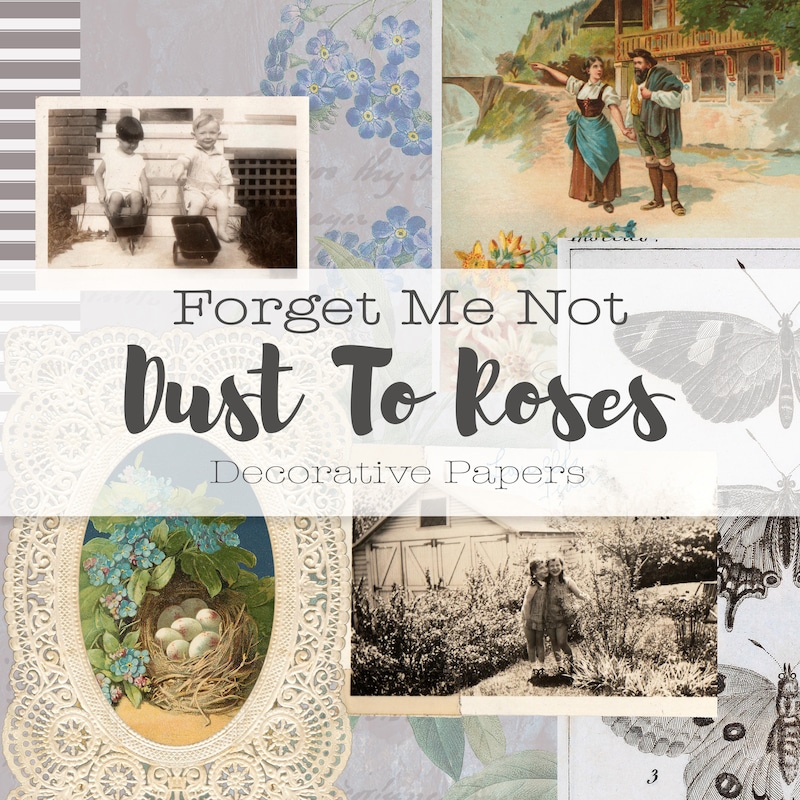 Forget Me Not Paper - Etsy