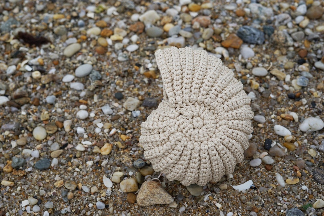 Crochet Nautilus Shell - Etsy