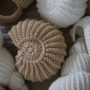 Crocheted Nautilus Shell - Etsy