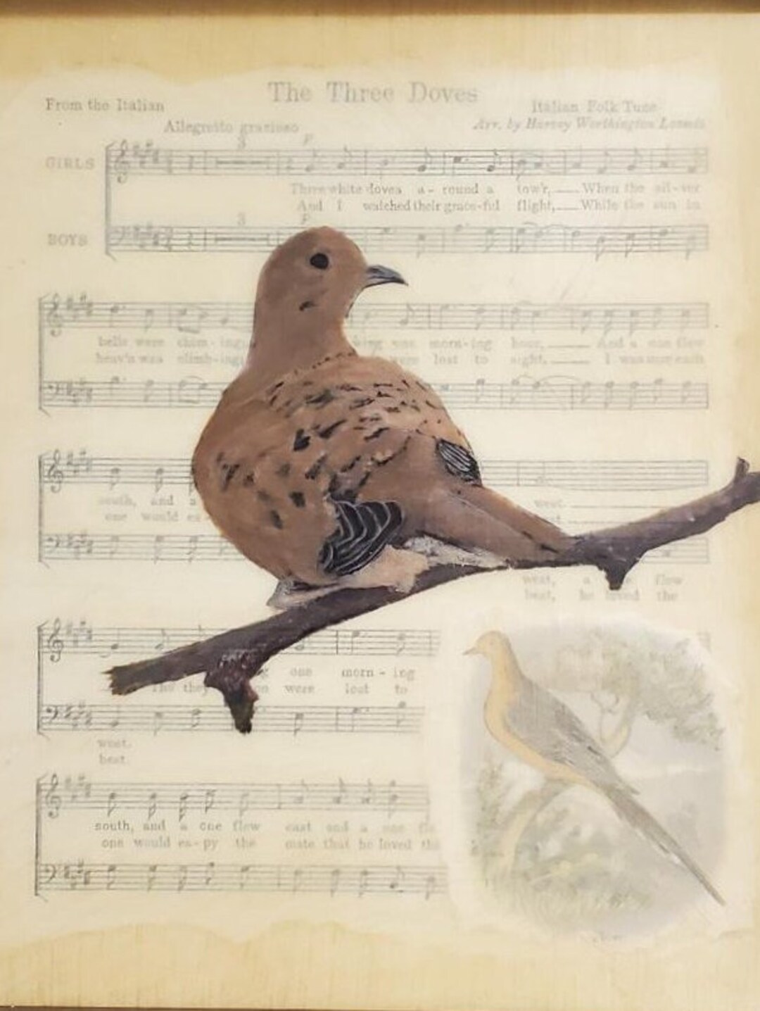 The Three Doves Original Encaustic, Acrylic & Collage Painting - Etsy